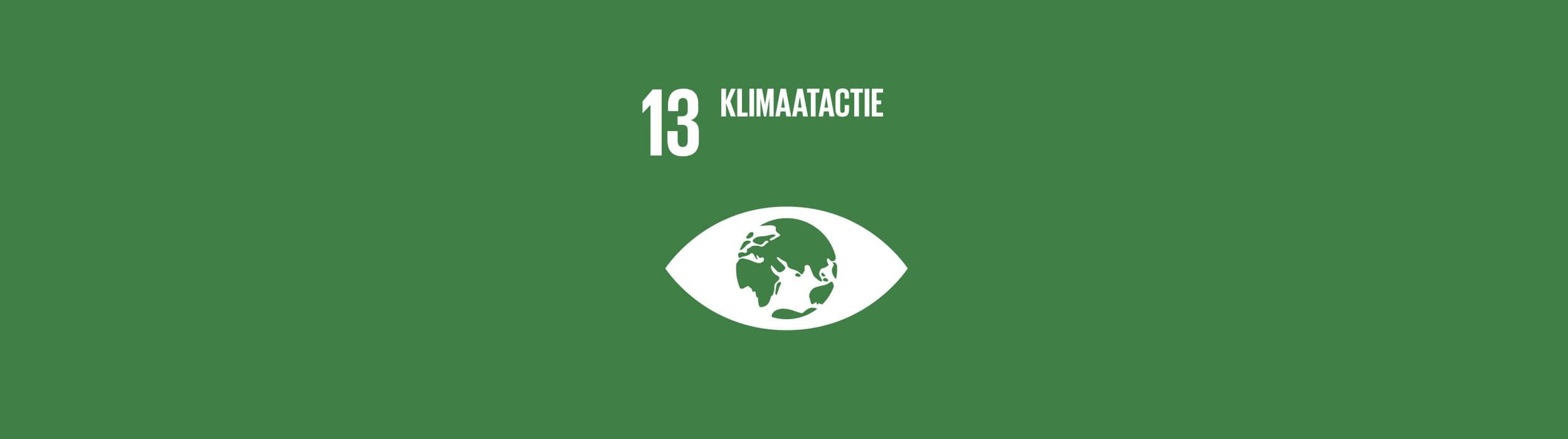 SDG 13